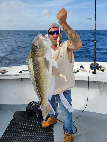 Deep Drop Bottom Fishing Rig Glow Tile Rose Snapper Cod Grouper Golden ...